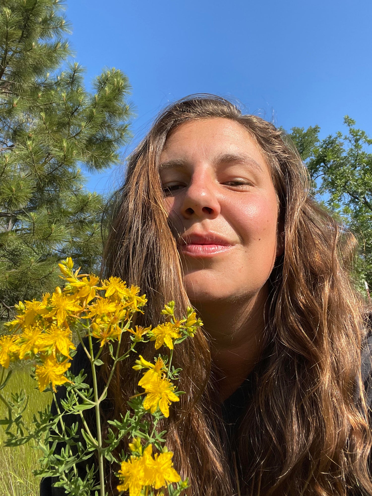 Feraly Rooted Essence